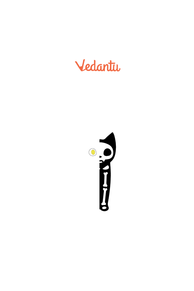 T-shirts & Hoodies - Vedantu