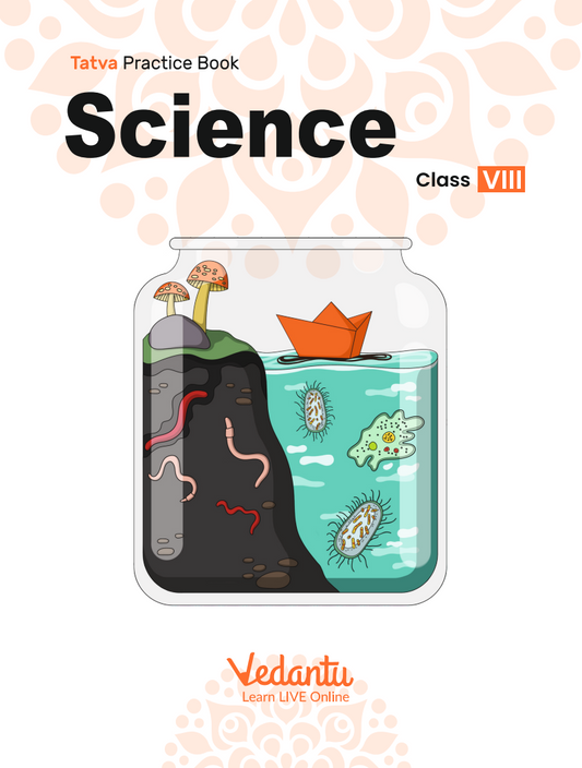 CBSE - Grade 8 - Tatva Practice Books – Vedantu