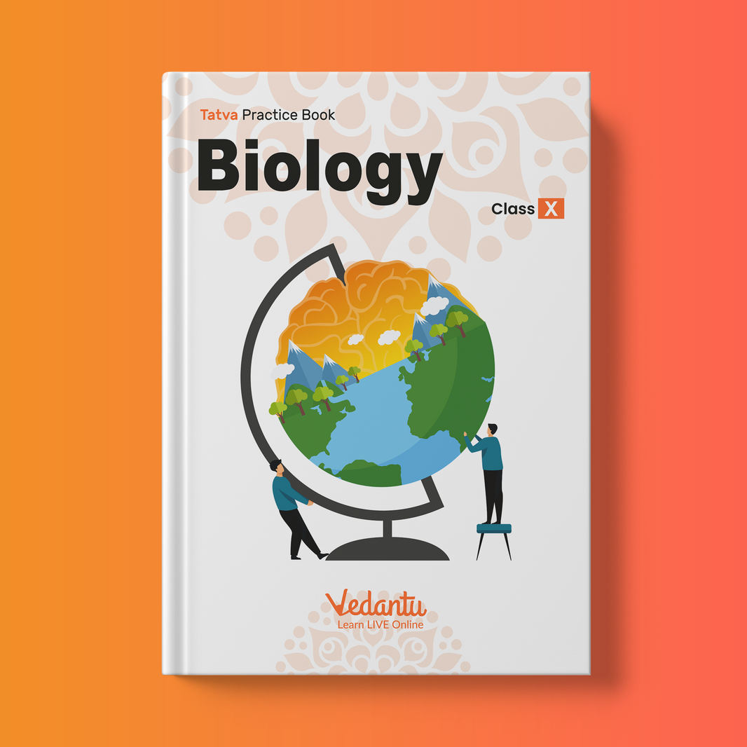 CBSE Class 10 - Vedantu Tatva Practice Books